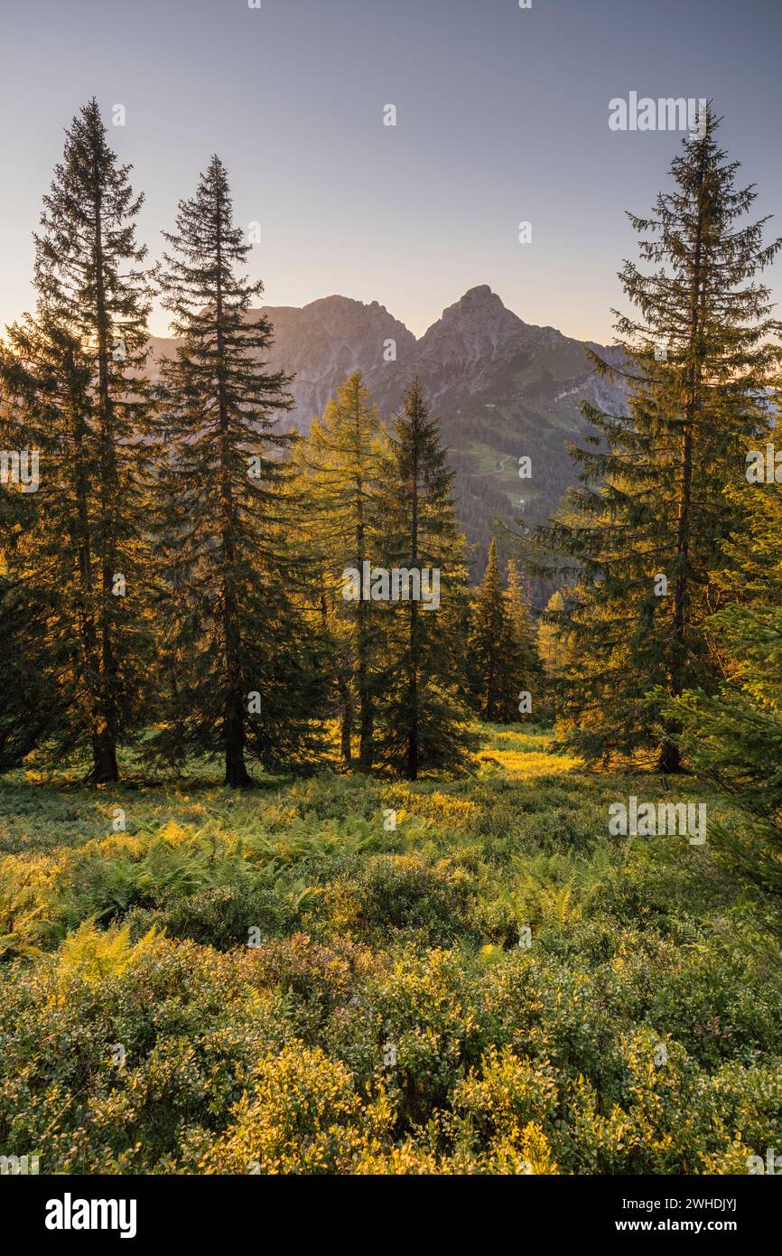 View from spielkogel to reichenstein hi-res stock photography and ...