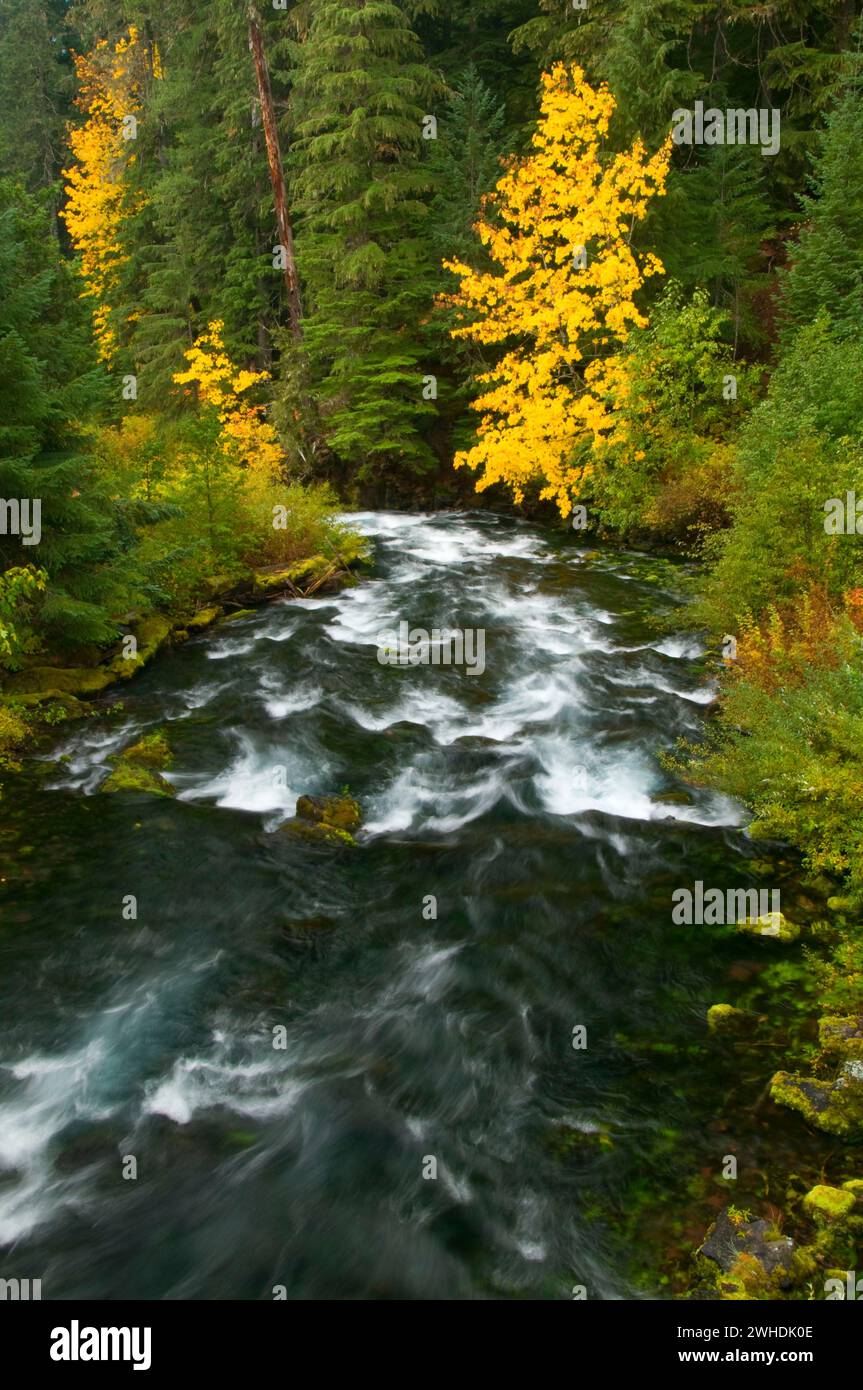Upper McKenzie River in autumn, McKenzie Wild and Scenic River ...
