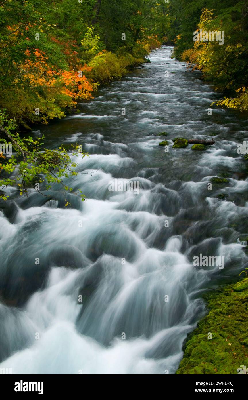 Upper McKenzie River in autumn, McKenzie Wild and Scenic River ...