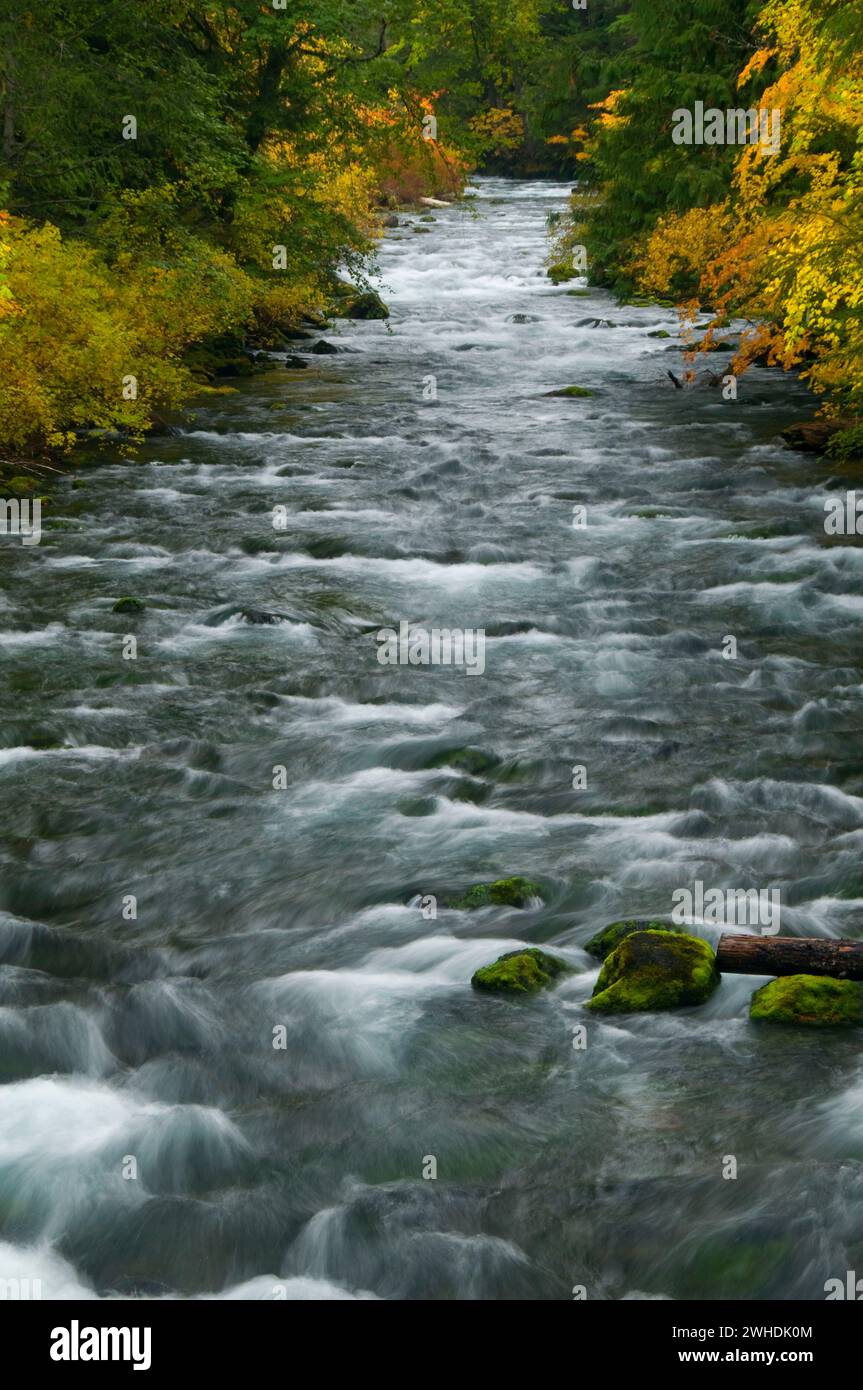 Upper McKenzie River in autumn, McKenzie Wild and Scenic River ...