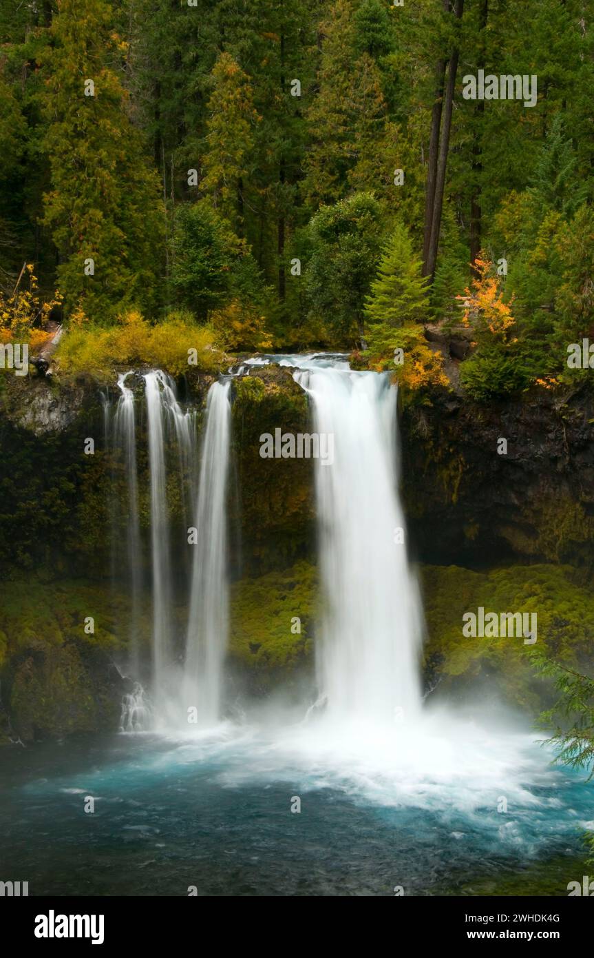 Koosah Falls, McKenzie Wild and Scenic River, McKenzie Pass-Santiam ...