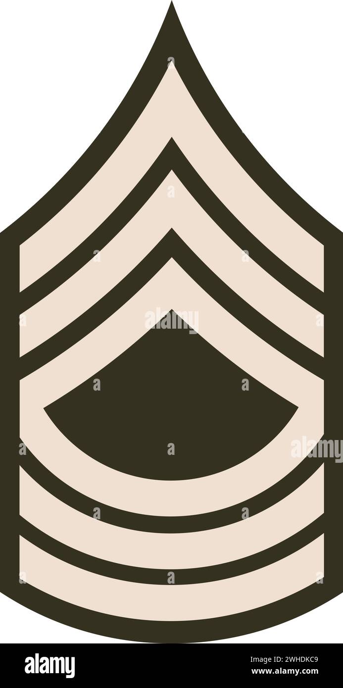 Shoulder pad military enlisted rank insignia of the USA Army MASTER ...