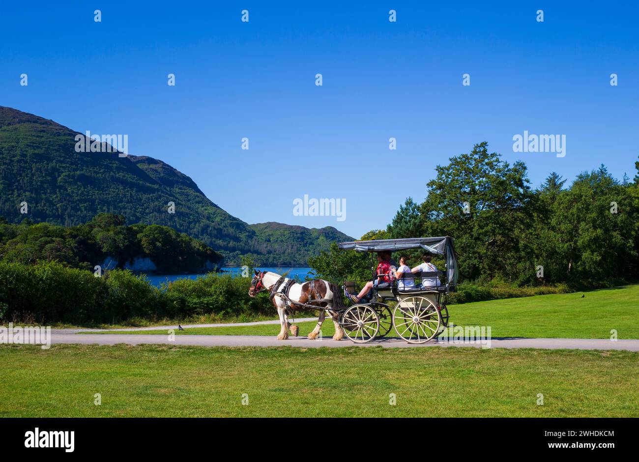 jaunting car killarney Stock Photo - Alamy