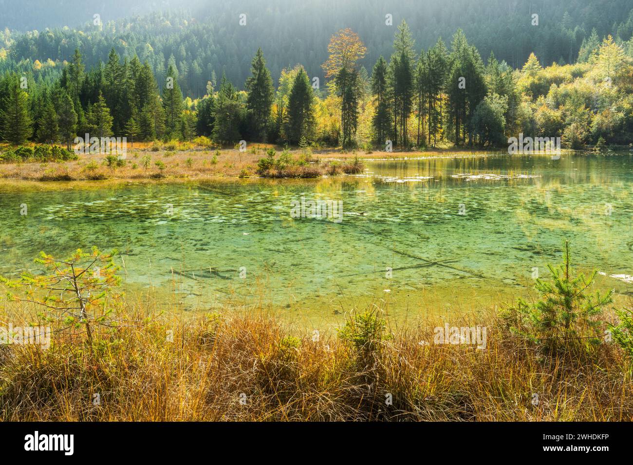 Lake Rieden, Rieden, Ausserfern, Reutte, Tyrol, Austria Stock Photo - Alamy