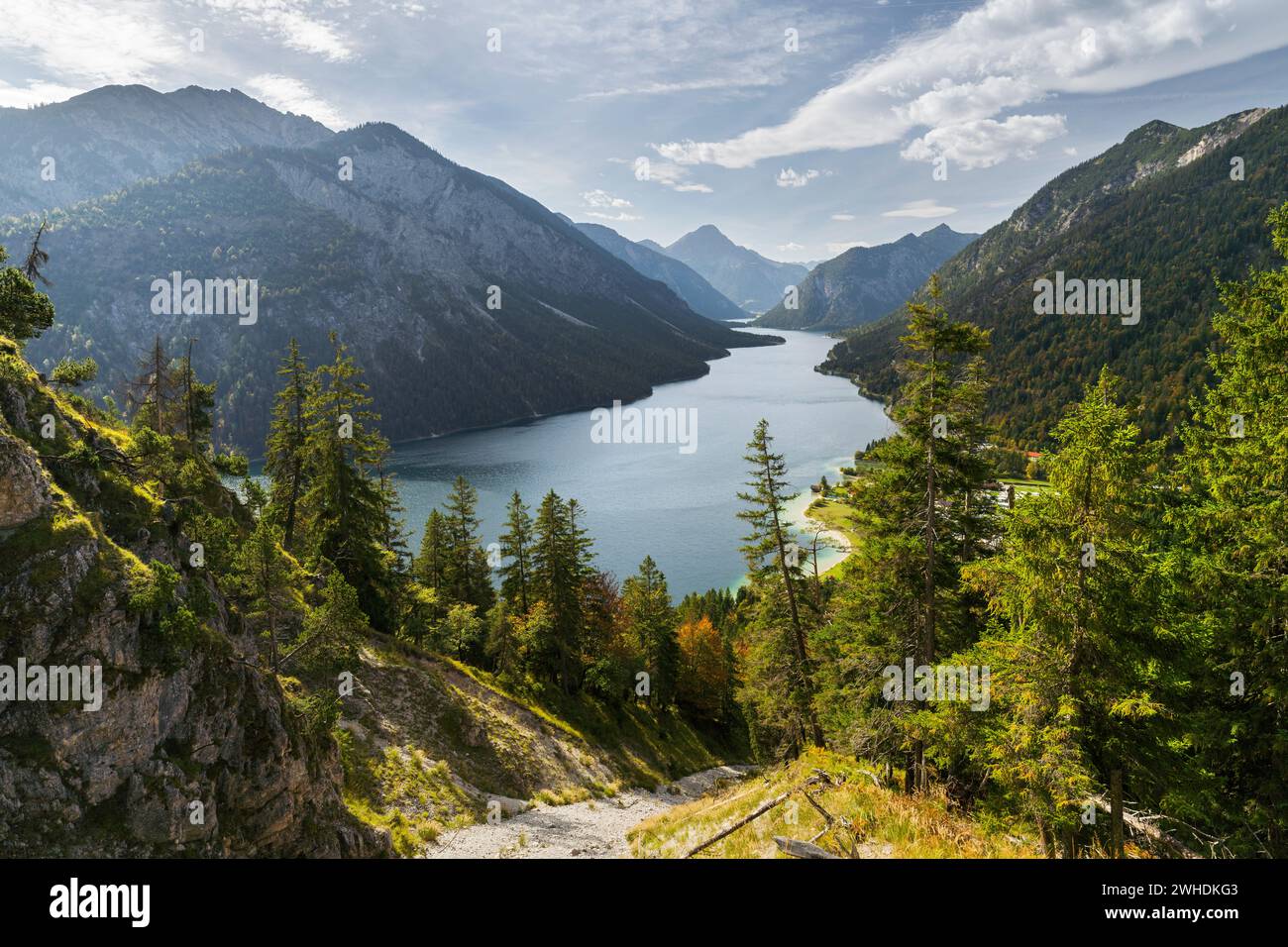 Plansee austria lake lake plansee forest trees reutte hi-res stock ...