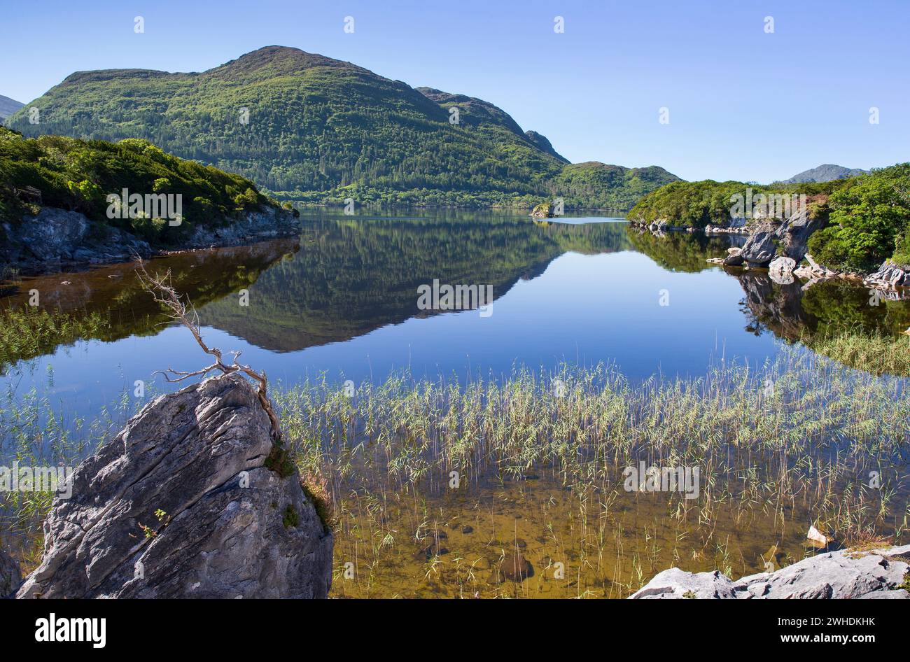 Killarney lakes tour hi-res stock photography and images - Alamy