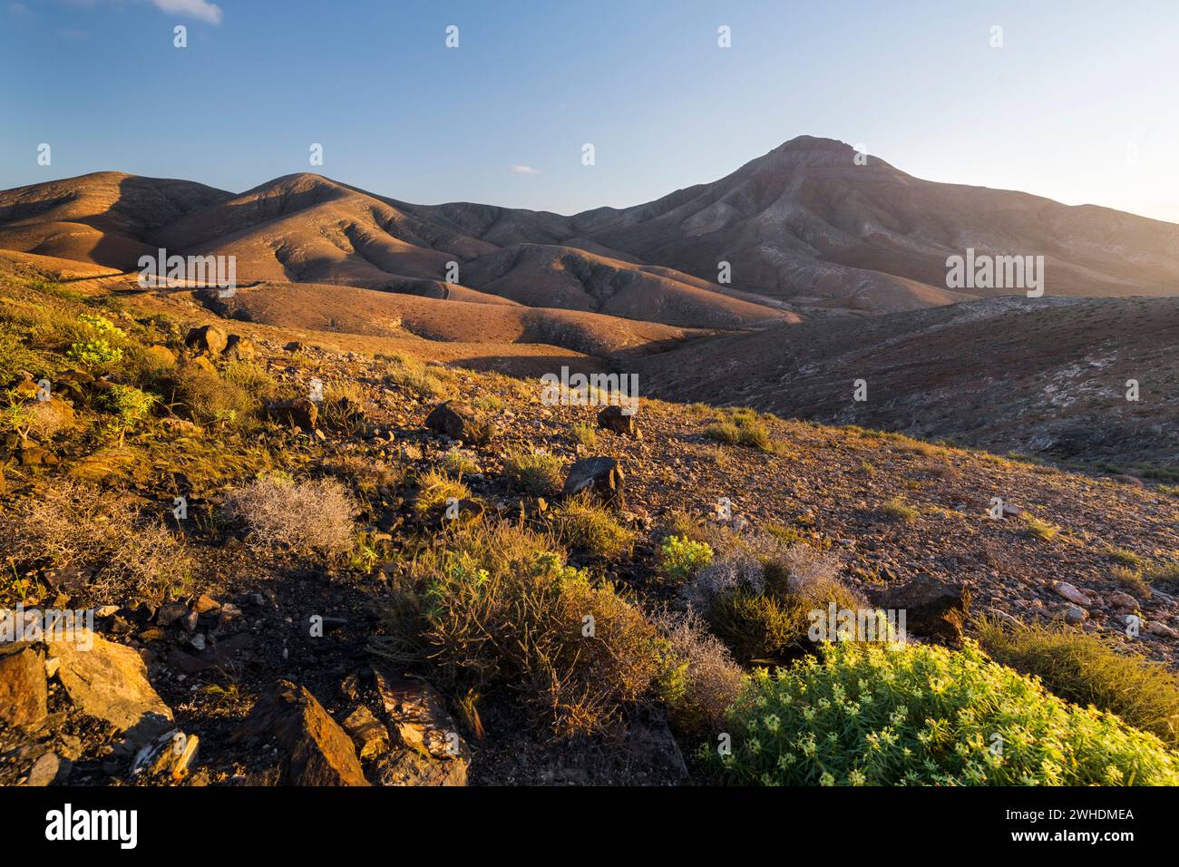 Hendida hi-res stock photography and images - Alamy