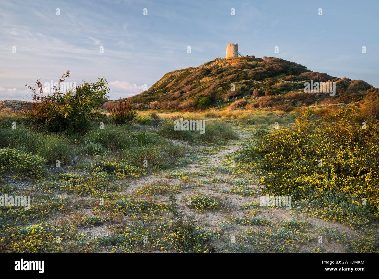 Torre di Chia, Spiaggia di Su Portu, Sardinia, Italy Stock Photo - Alamy
