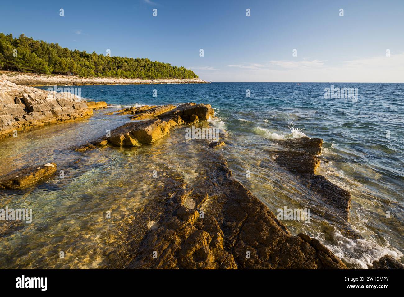 Rocky coast in the Kamenjak nature reserve, Premantura peninsula, Pula ...