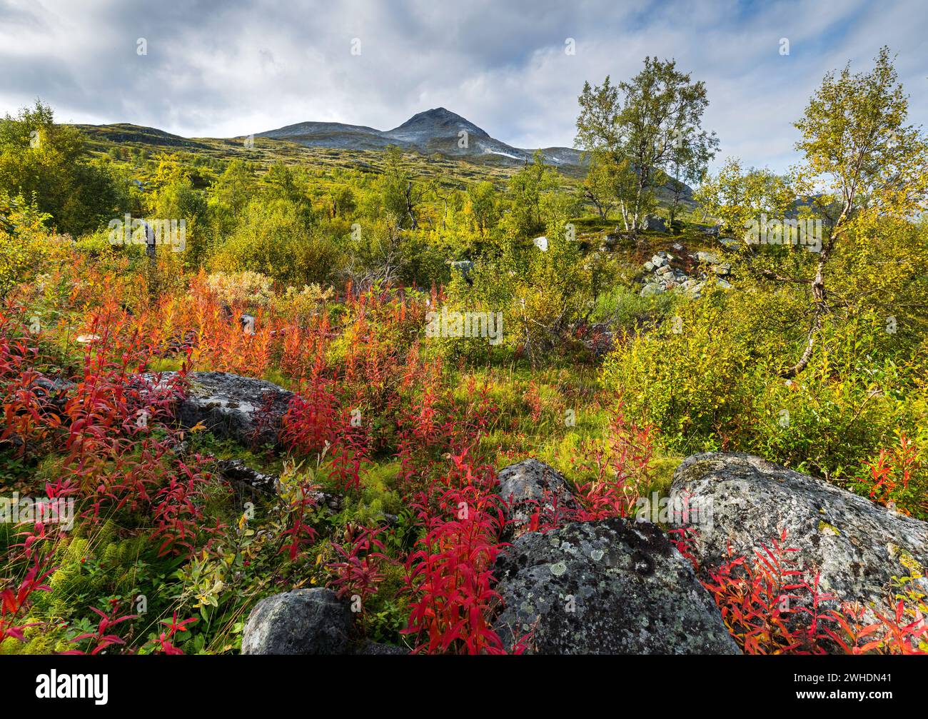 Hallji Mountain, Stora Sjöfallets National Park, Lapland, Sweden ...