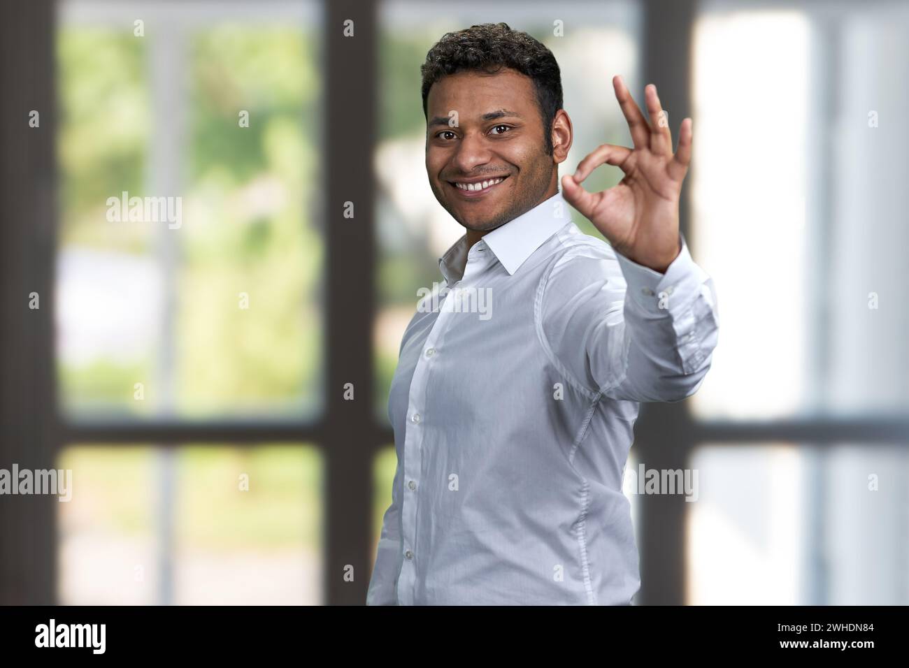 Successful indian businessman showing okay hand gesture. Smiling man ...