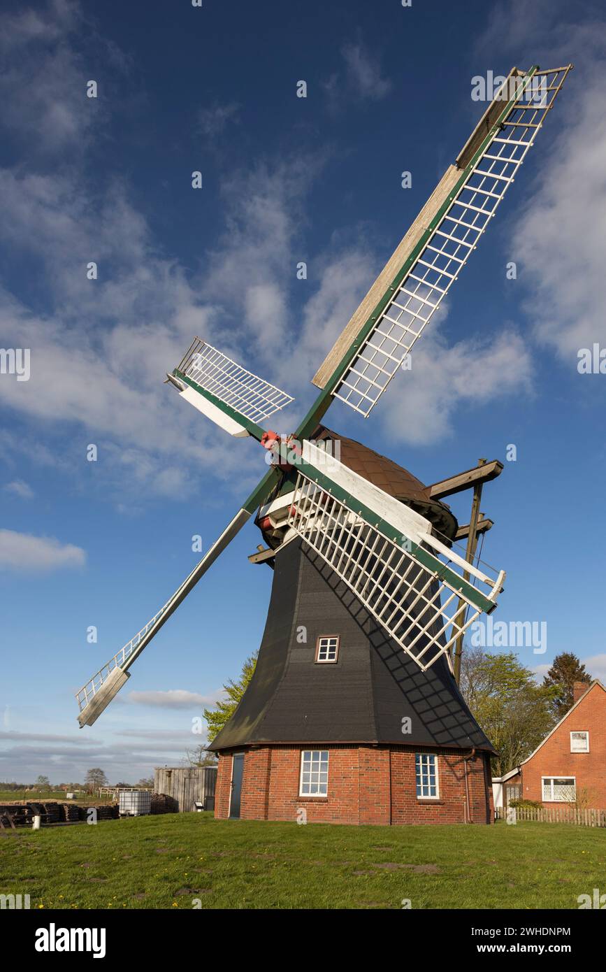 Windö¸hle, ëTjadens ö¸hleë, ö¸dcoldinne, municipality of Groï¬‚heide ...