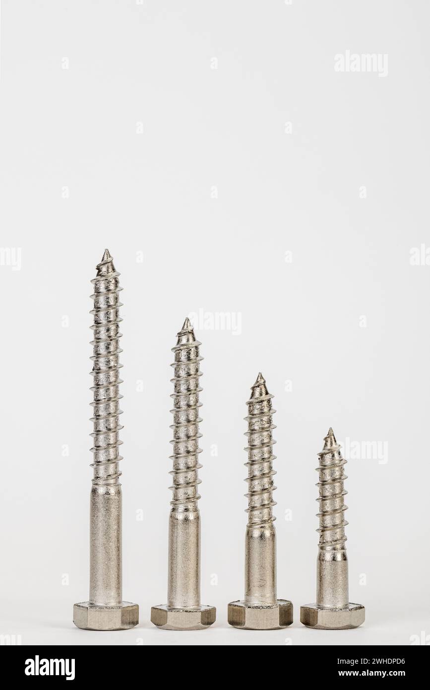 Four hexagonal stainless steel wood screws, different sizes, next to ...