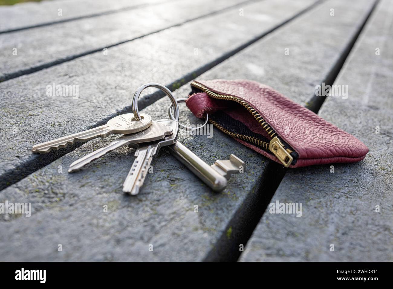 A bunch of keys left on a park bench, symbolic image, bunch of keys ...