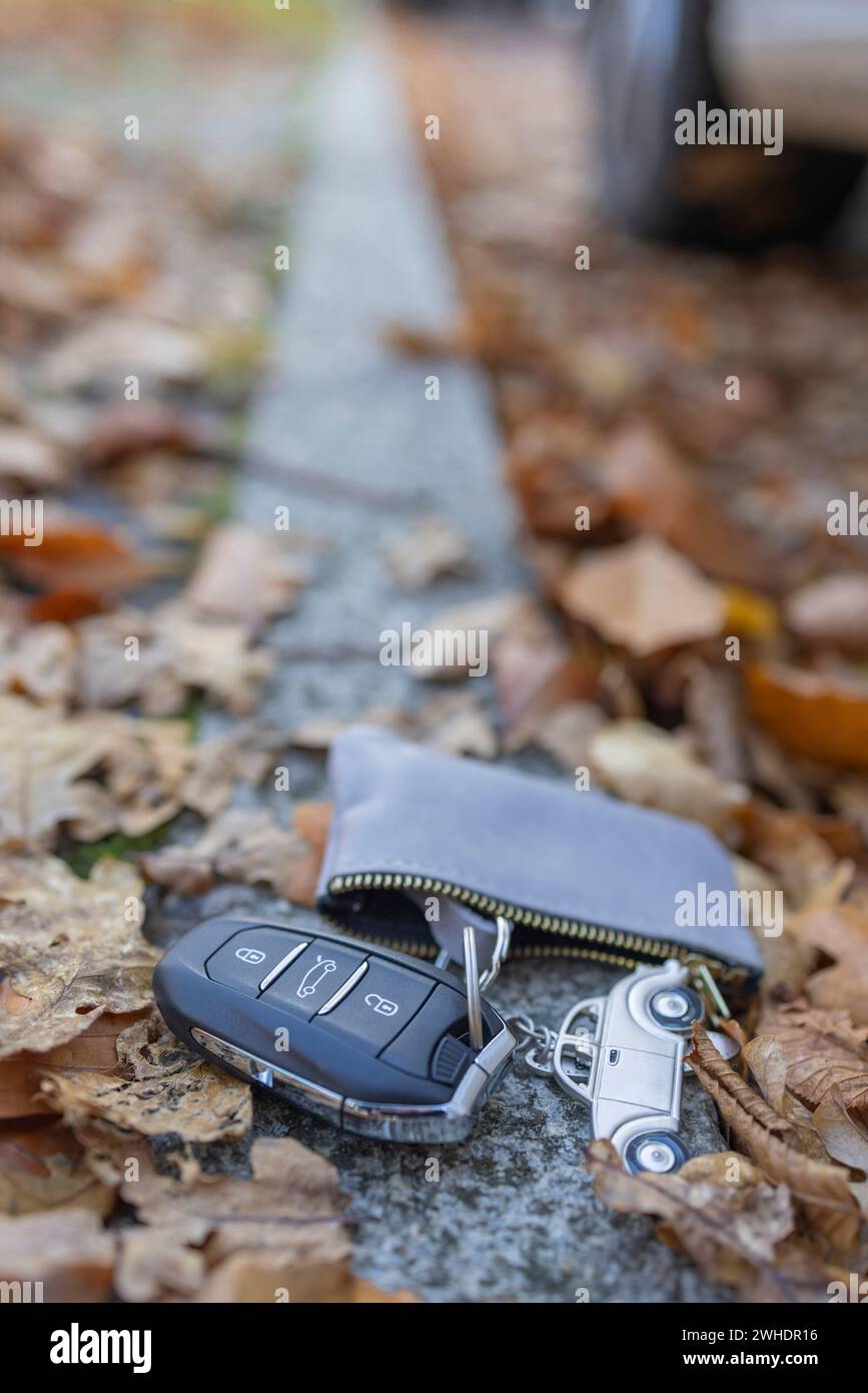 Car keys lost on the side of the road, fall leaves, car, symbolic image ...