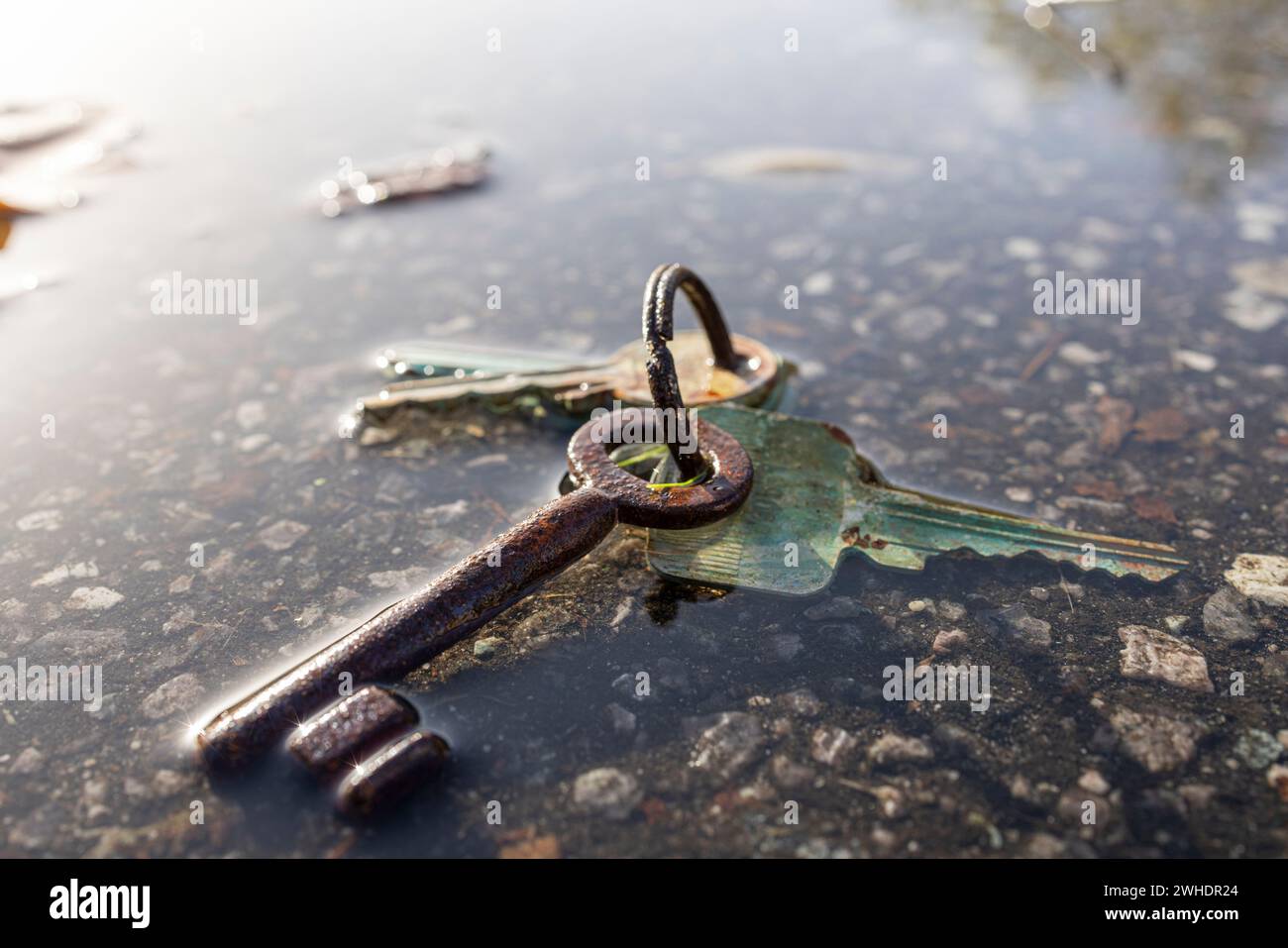 Lost property symbol hi-res stock photography and images - Alamy