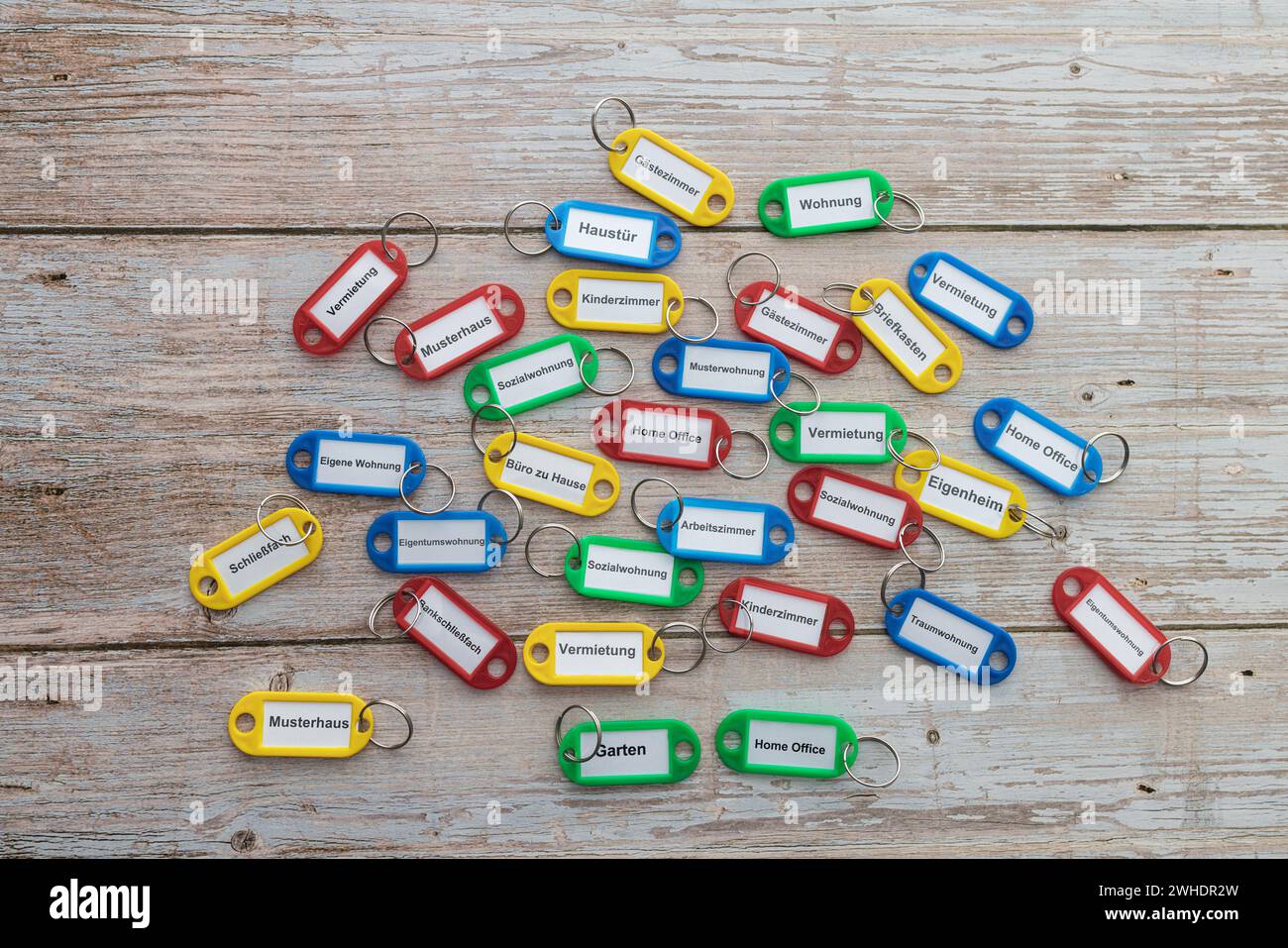 Many plastic key rings with ring, different colors, colorful, different ...