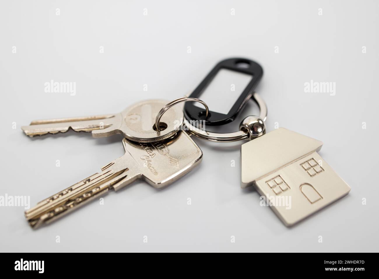Key ring with metal key fob house, black key fob, without lettering ...