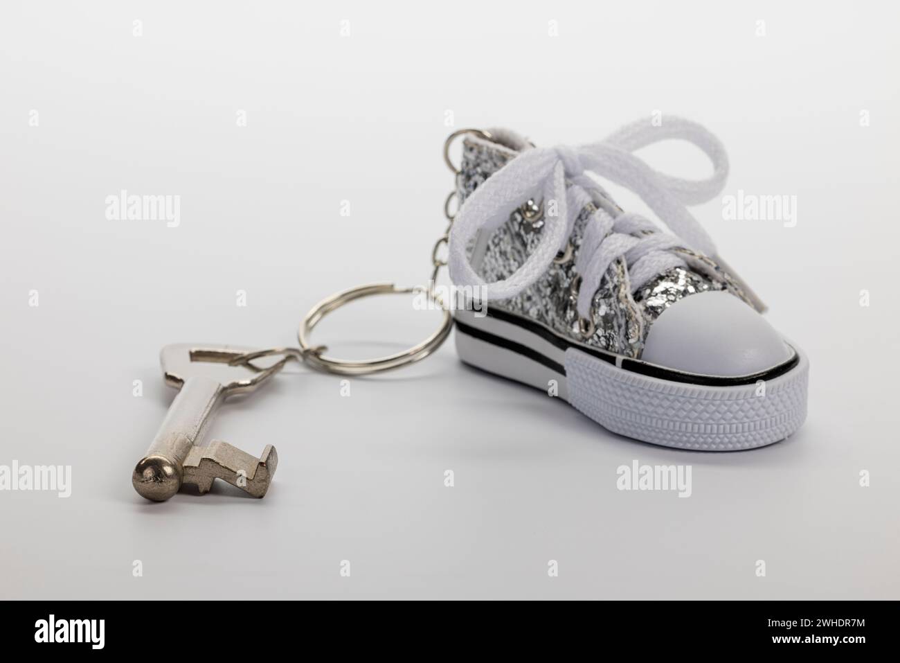 Room key with sneakers key ring, miniature sneaker, colorful bar key ...