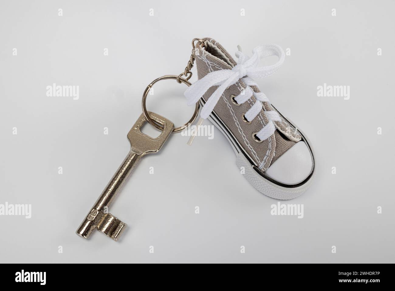 Room key with sneakers key ring, miniature sneaker, colorful bar key ...