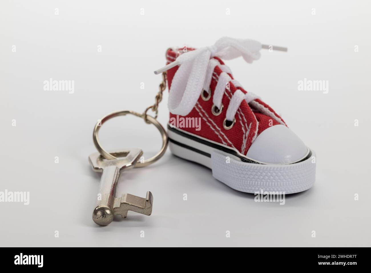 Room key with sneakers key ring, miniature sneaker, colorful bar key ...