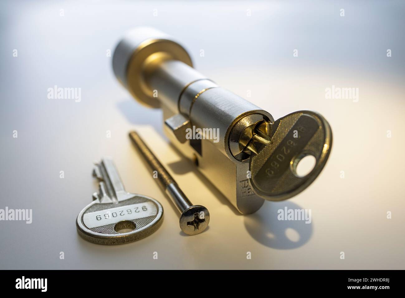 Lock cylinder with rotary knob, key, fixing screw, white background ...