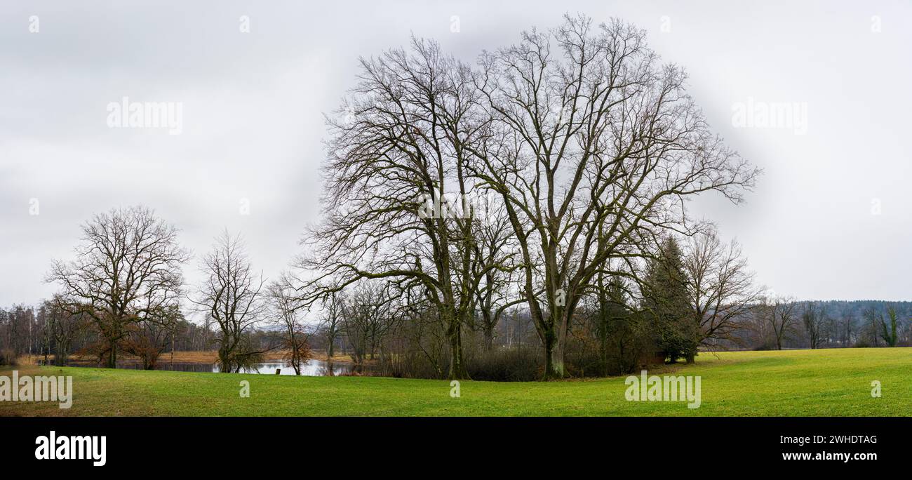 in the Katzensee nature reserve Stock Photo - Alamy