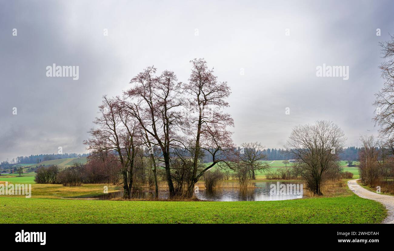in the Katzensee nature reserve Stock Photo - Alamy