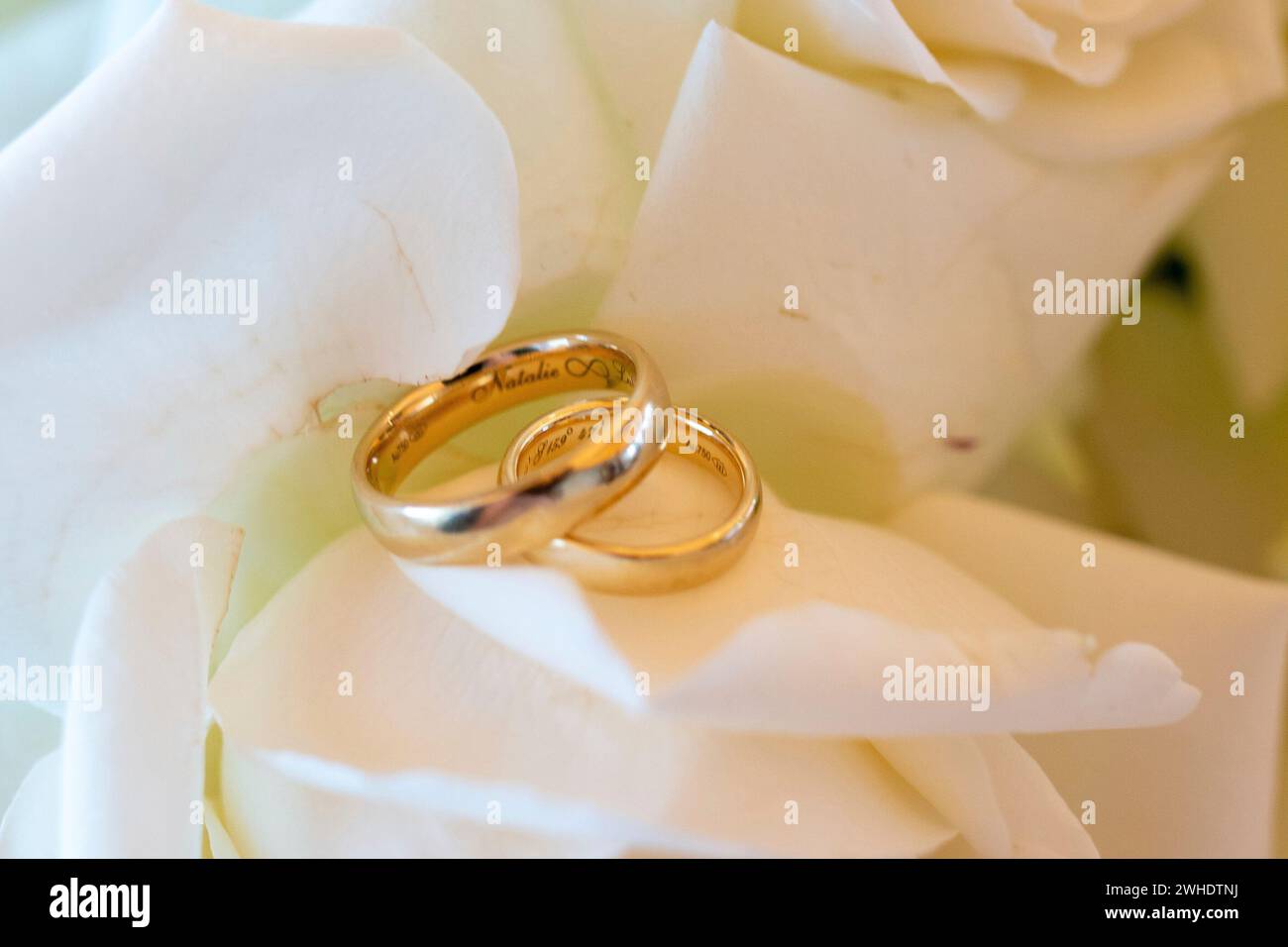 Rose colored ring hi-res stock photography and images - Alamy