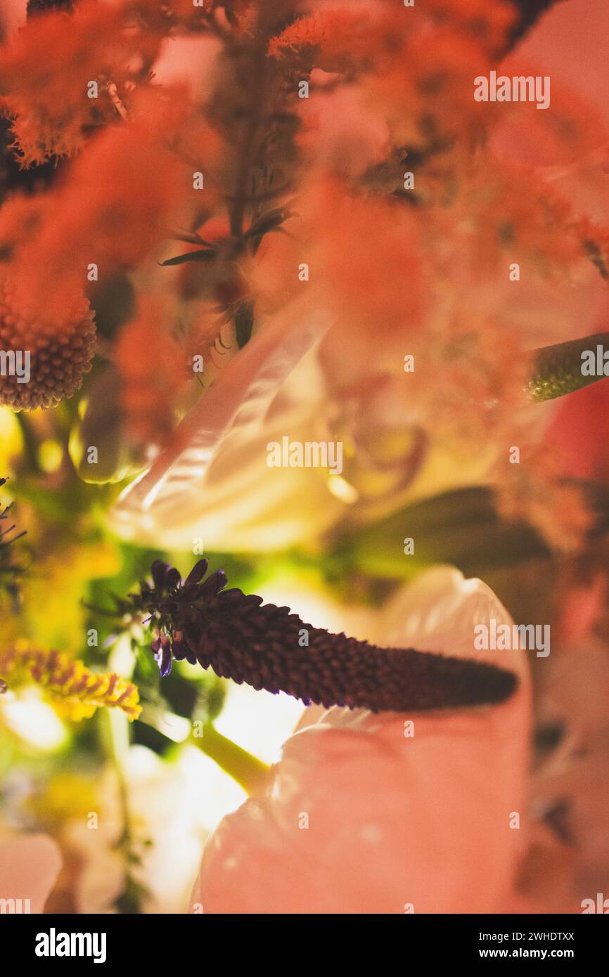 Bridal bouquet with ring, indirect lighting Stock Photo - Alamy