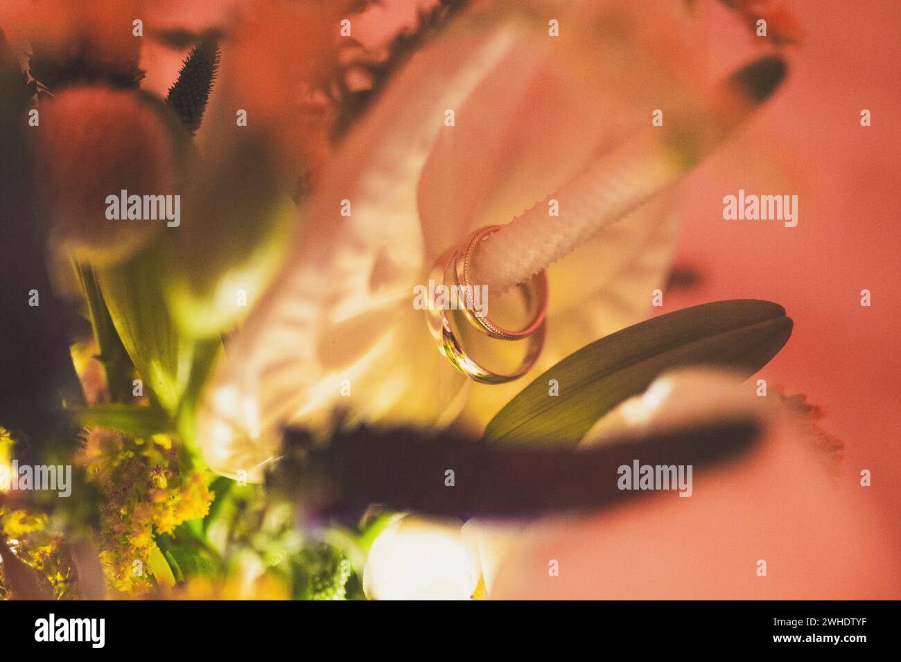 Indirect lighting hi-res stock photography and images - Alamy