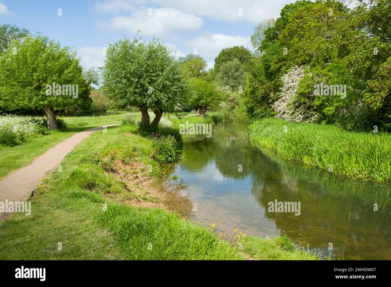 Stratford river hi-res stock photography and images - Alamy