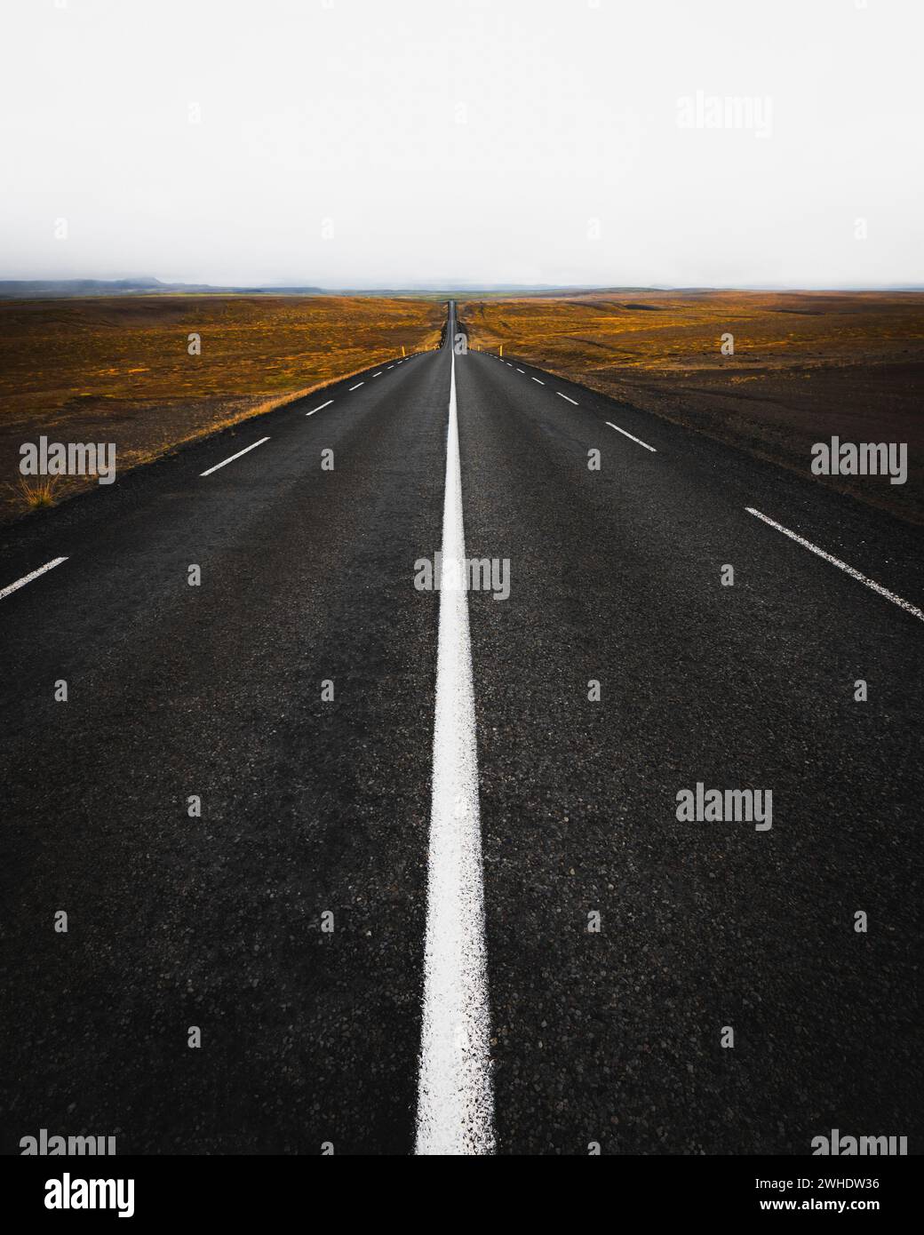 Endless, empty road in Icelandic volcanic landscape, Ring Road, Iceland ...