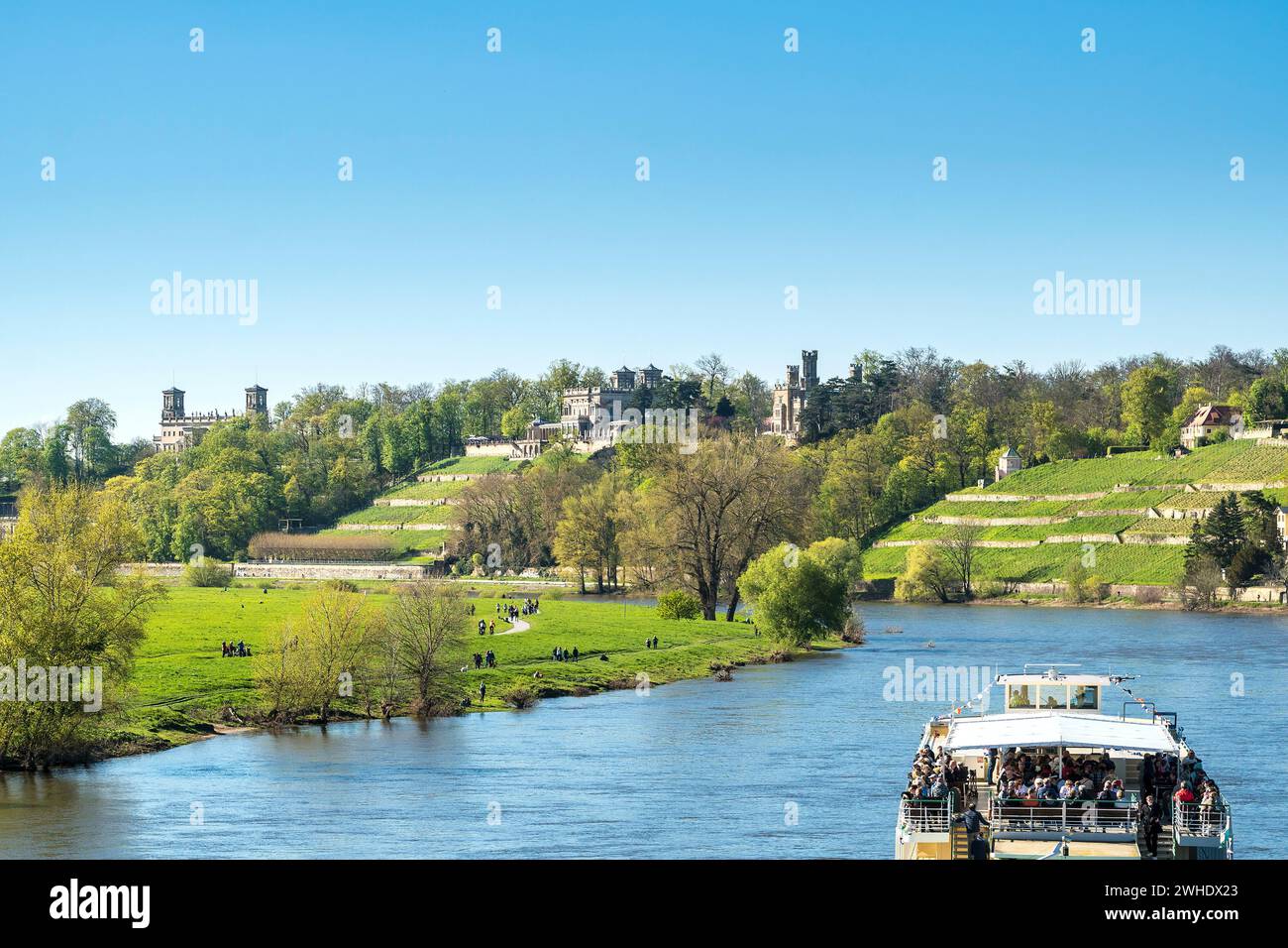 Dresden, Elbe landscape, view to the Elbe castles, steamer Stock Photo ...
