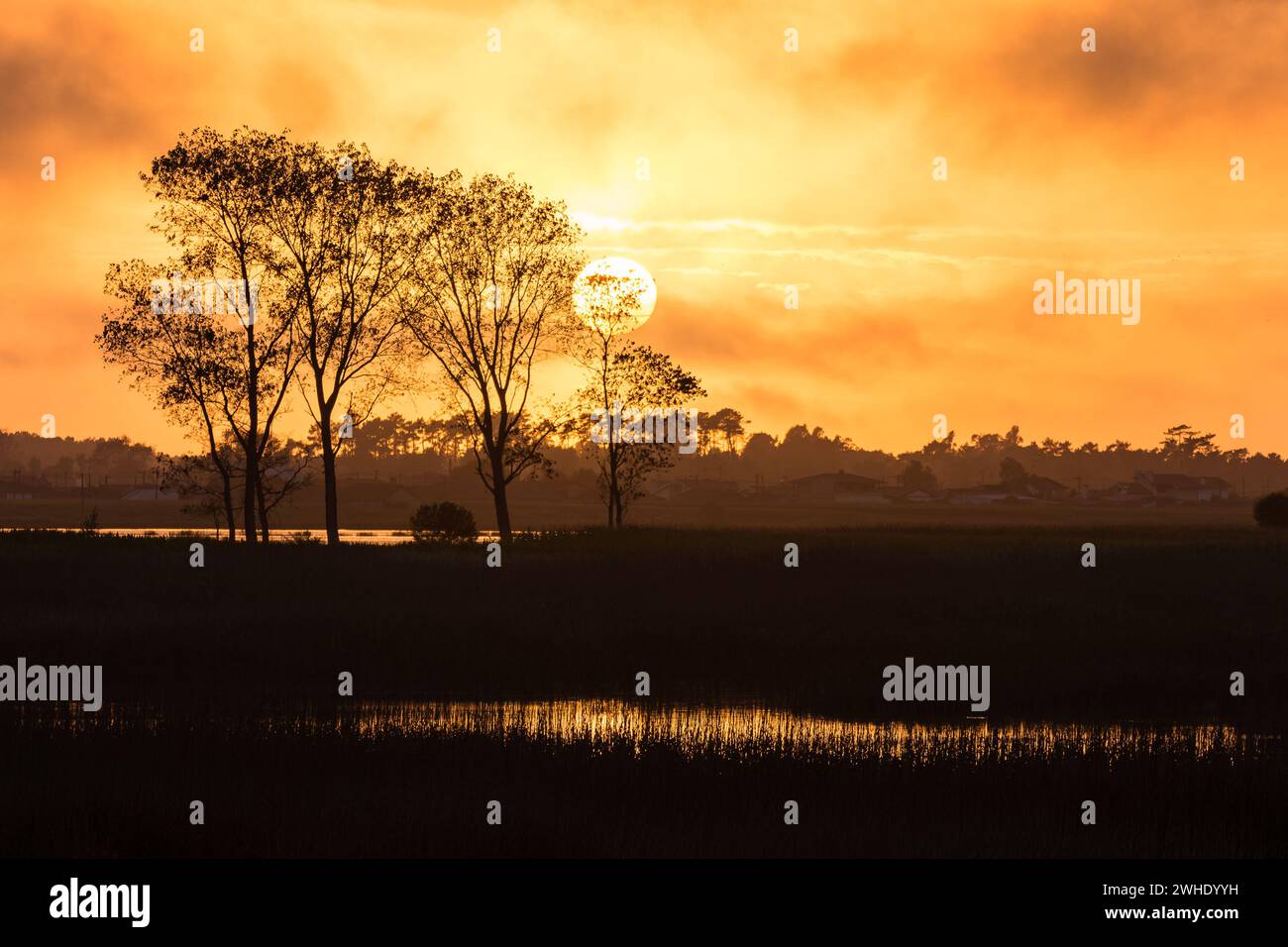 Calm sunset hi-res stock photography and images - Alamy