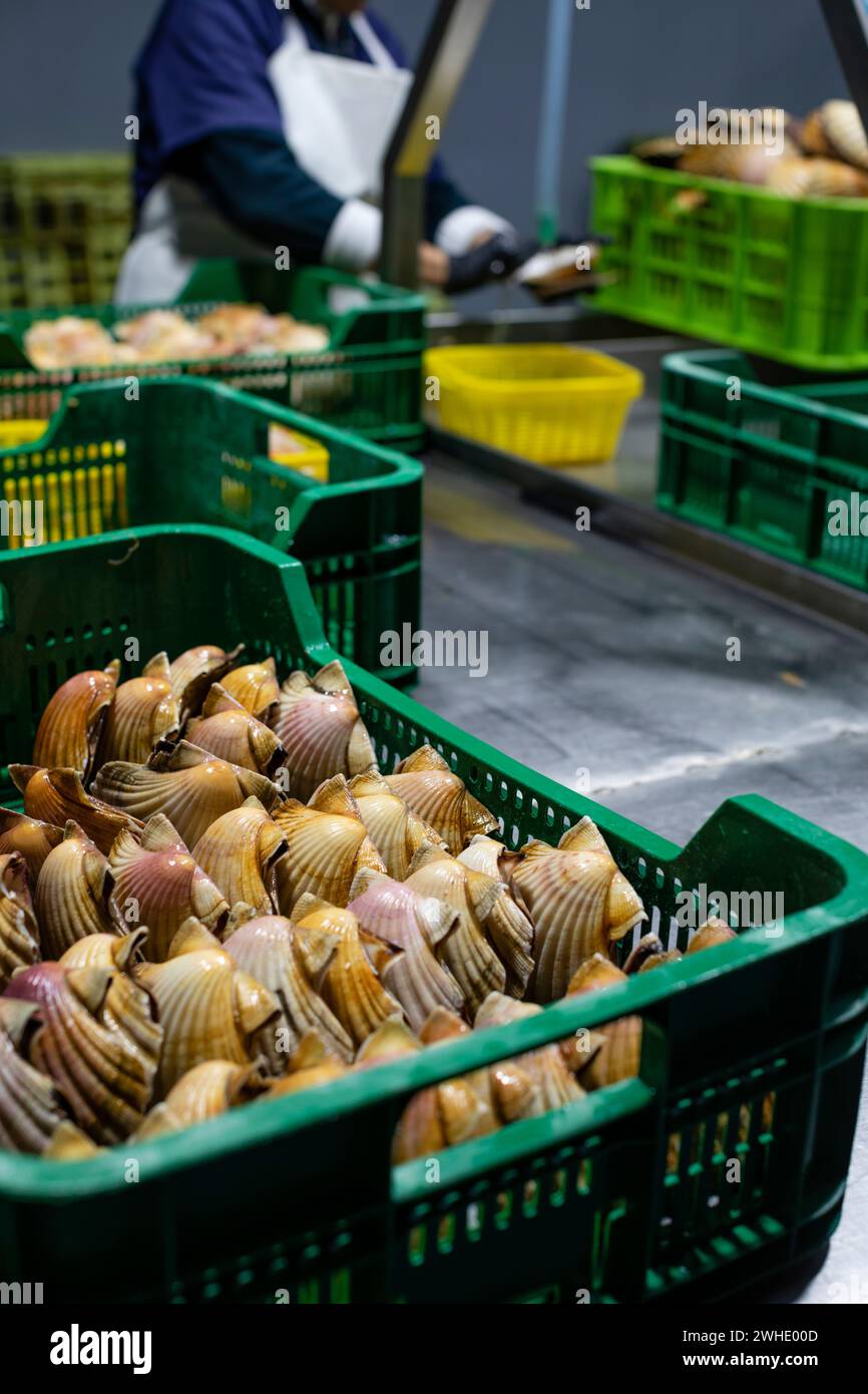 Shellfish treatment plant hi-res stock photography and images - Alamy