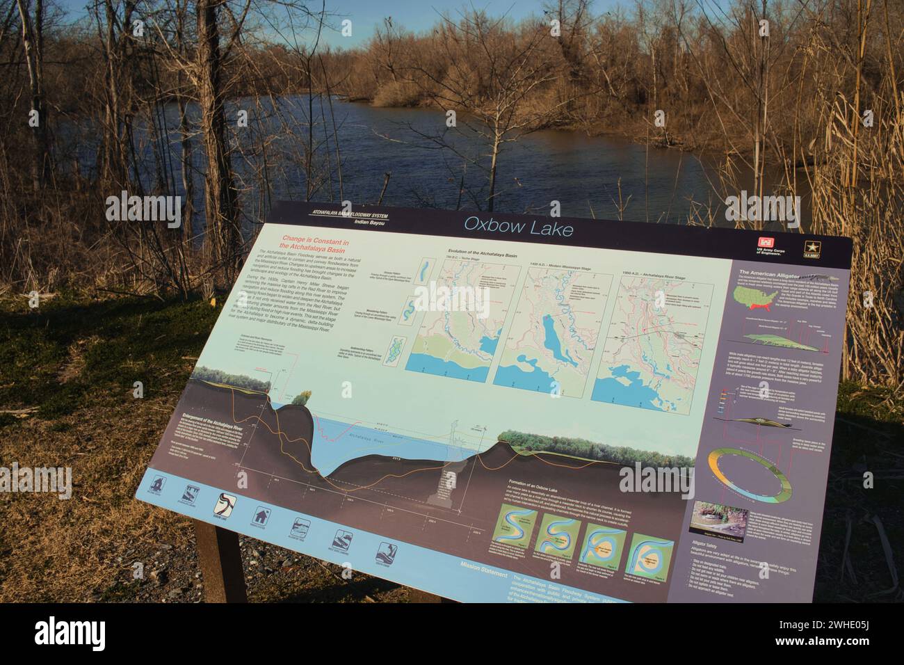 This is part of the largest swamp in swamp in the United States. This ...