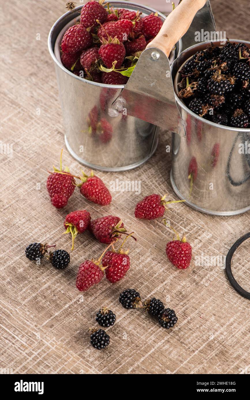 Metal buckets with fresh berries Stock Photo - Alamy