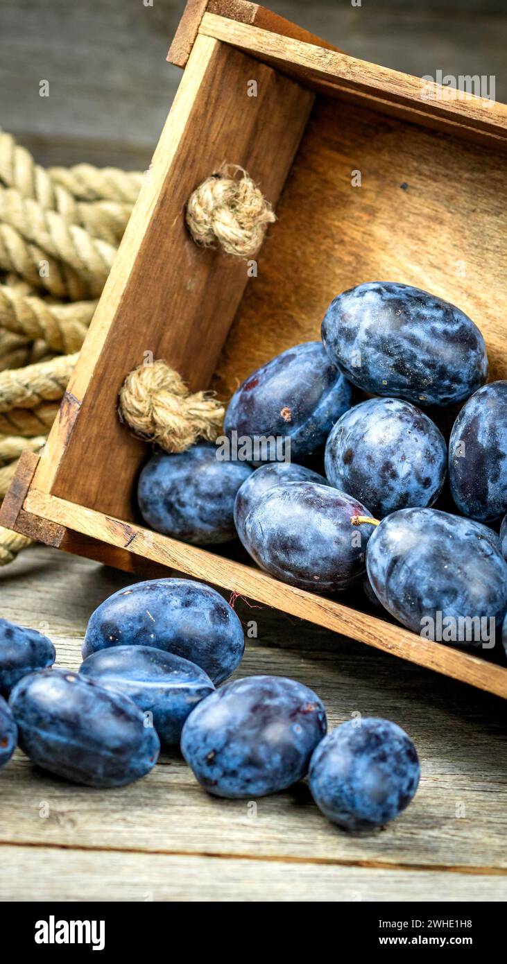 Ripe blue plums in a wooden crate in a rustic composition Stock Photo ...