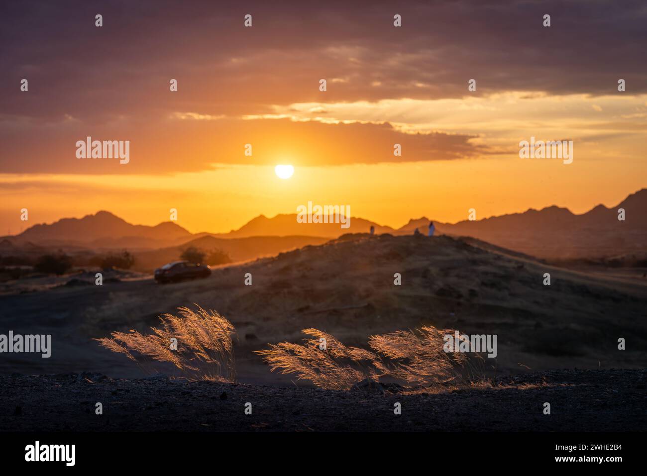 Colors of saudi hi-res stock photography and images - Alamy