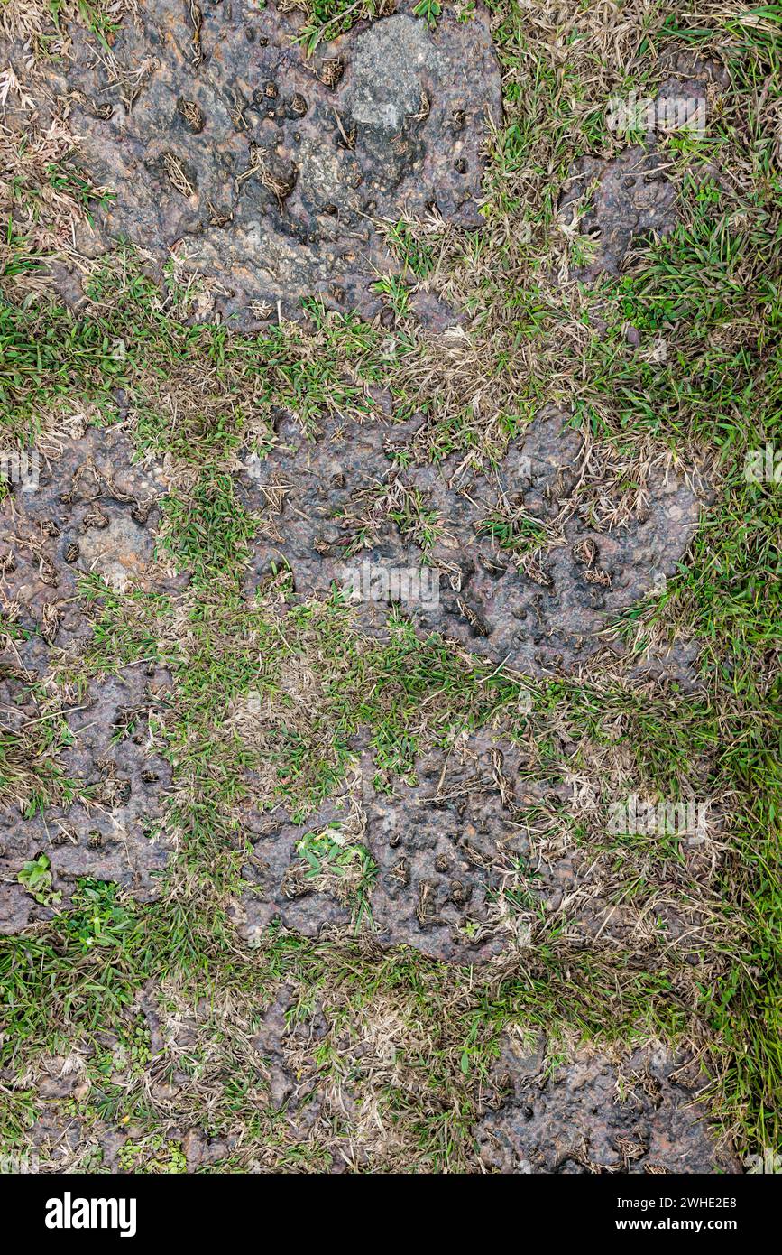 Rustic stone walkway path hi-res stock photography and images - Alamy
