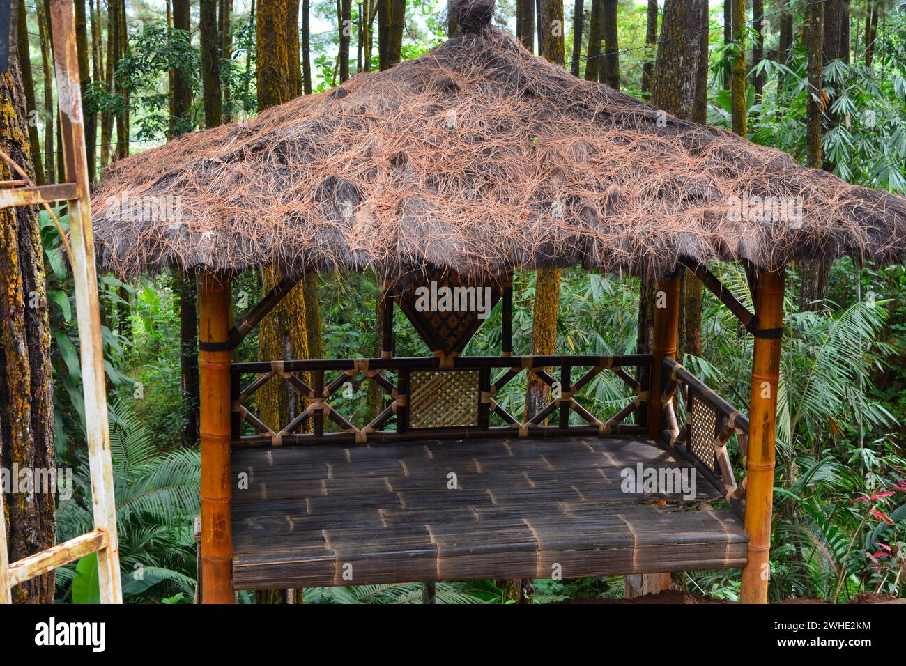 Educational tourism village in the forest, tourism village in Indonesia ...
