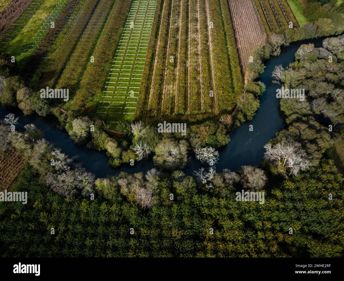 Aerial view of the Umia River as it passes through Albariño wine ...