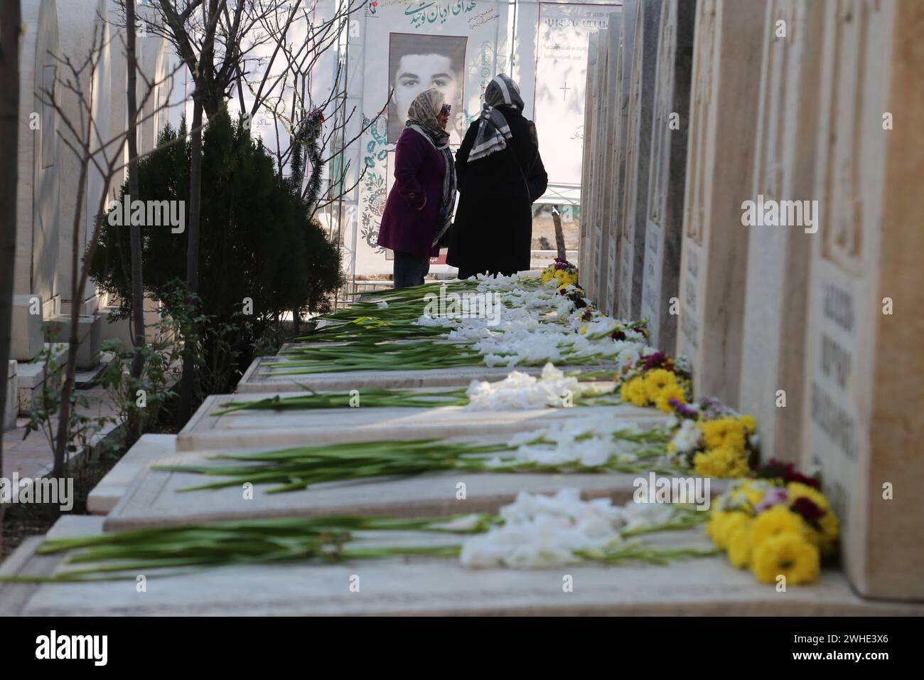 Persian dying hi-res stock photography and images - Alamy