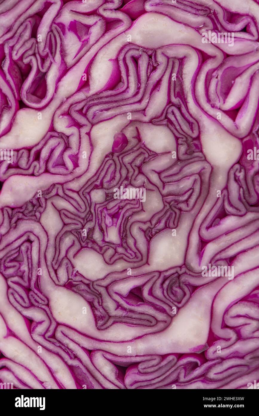 Inside of a red cabbage hi-res stock photography and images - Alamy