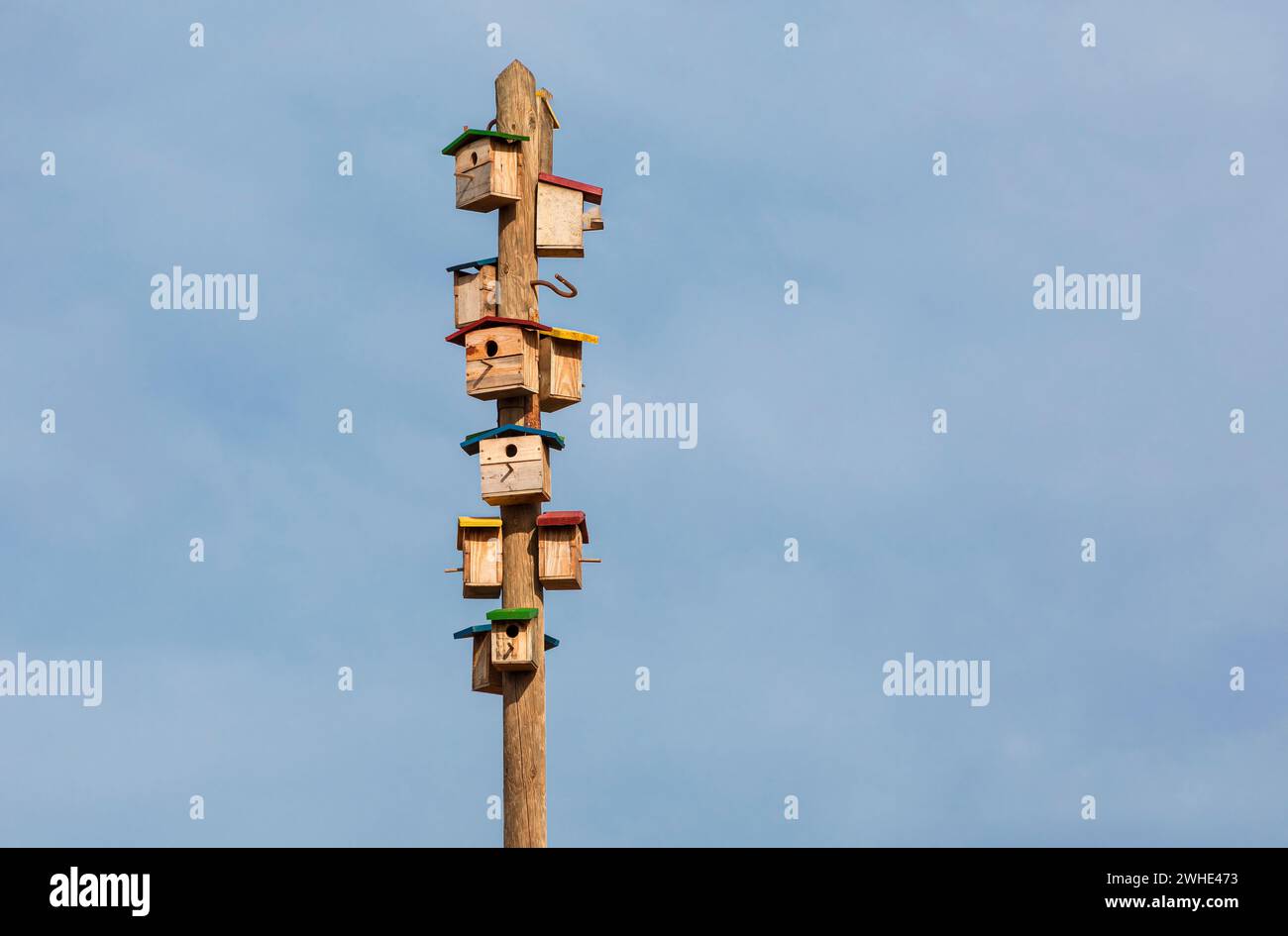 Pole with many bird boxes attached against a blue washed out sky Stock ...