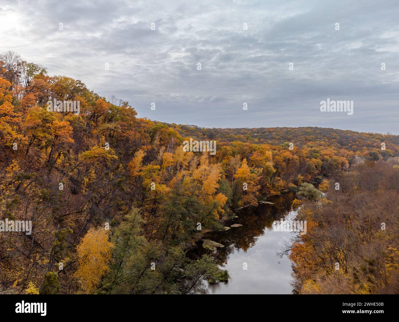 Autumn panorama, aerial river and yellow trees forest landscape with ...