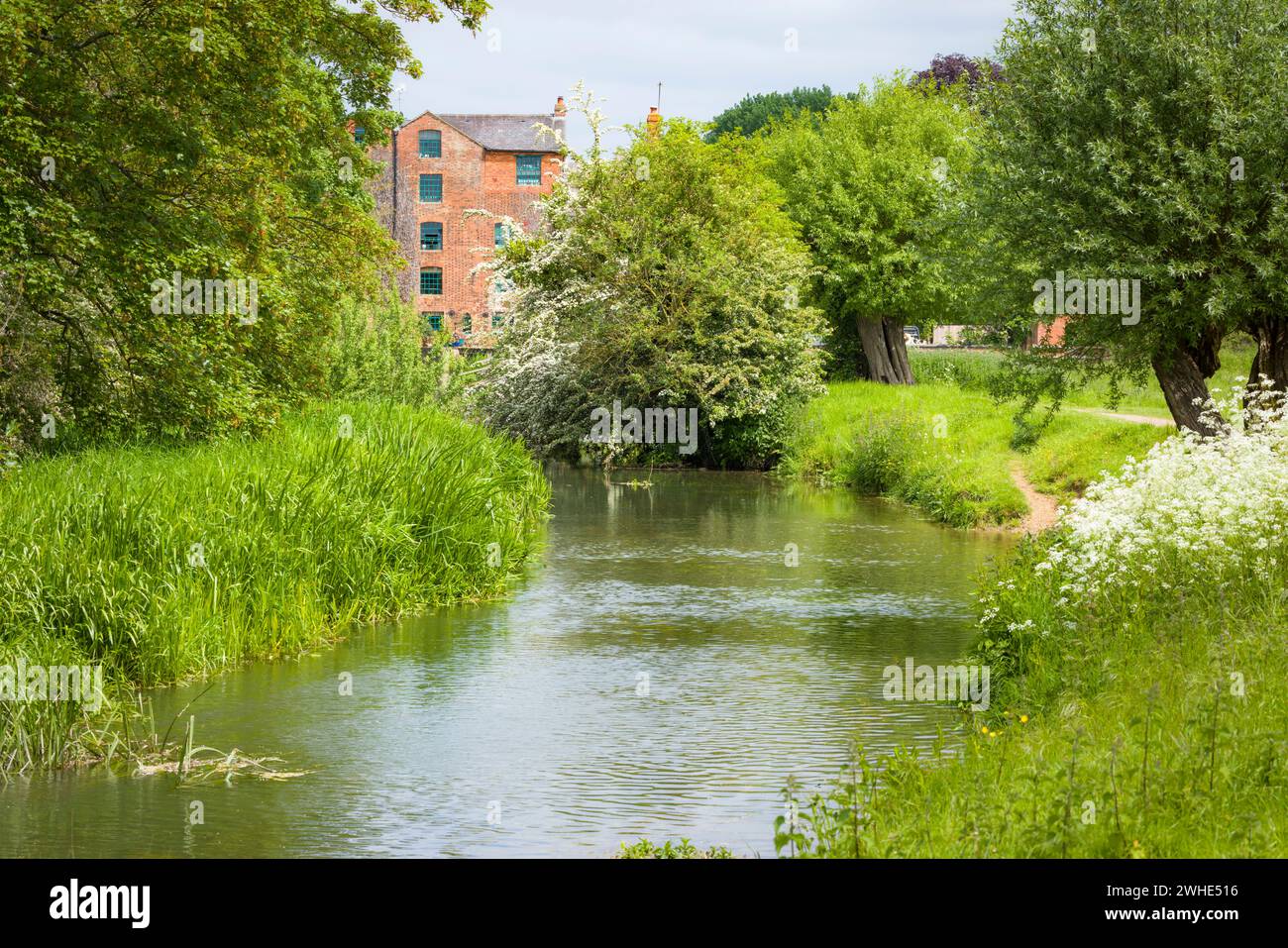 Old Mill on River Great Ouse, Stony Stratford Nature Reserve, Milton ...