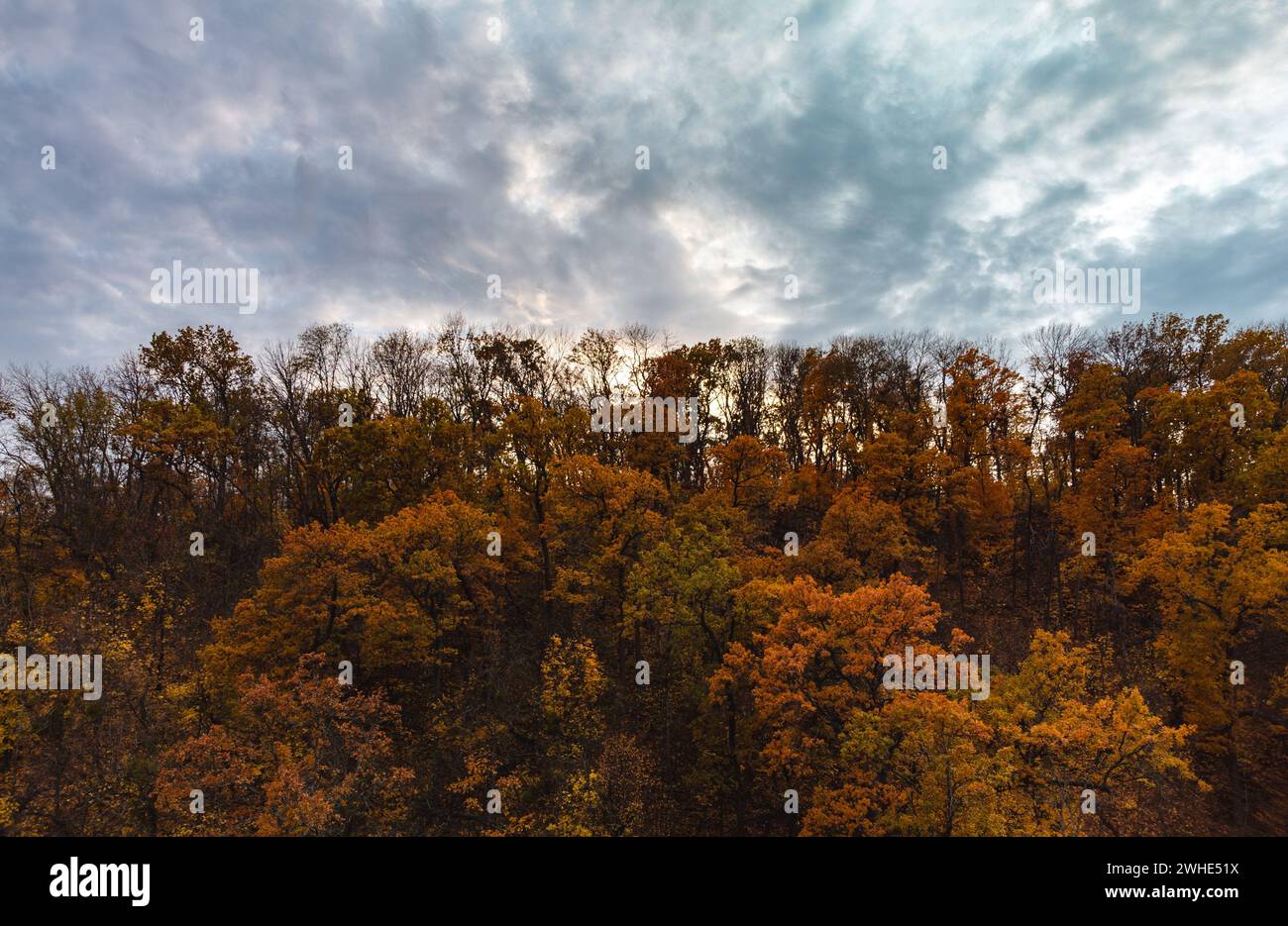 Autumn dramatic colorful forest with clouds. Autumnal vibrant nature ...