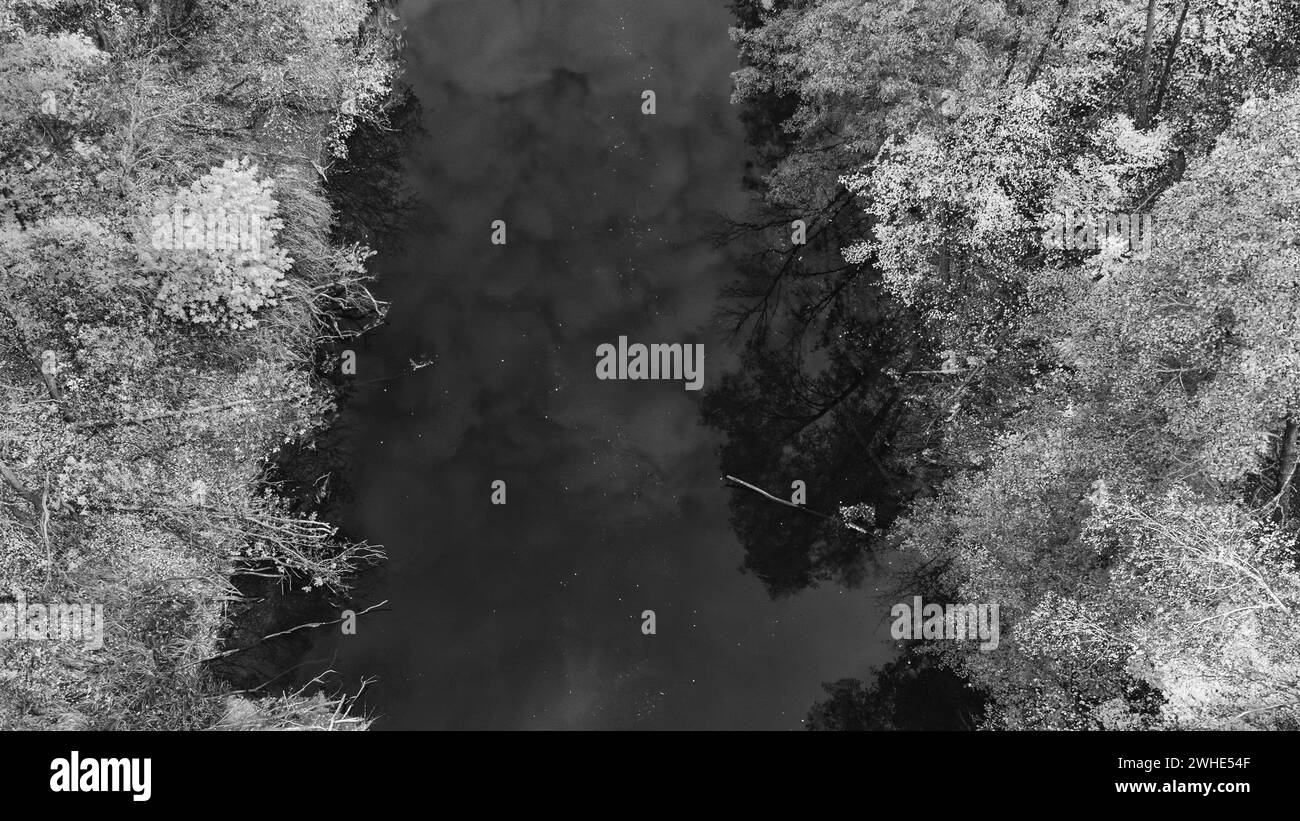 Aerial look down view on river with mirror surface and trees on ...